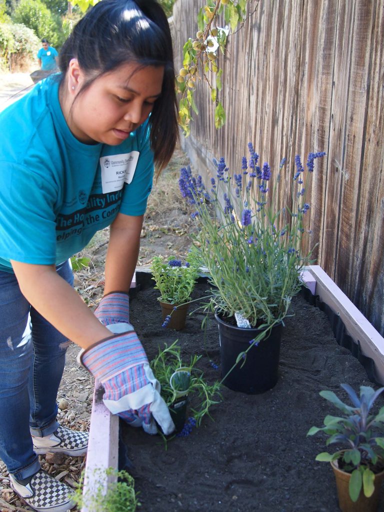 Community Beautification Projects - Alchemist CDC
