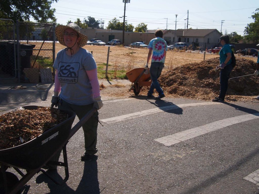 Community Beautification Projects - Alchemist CDC