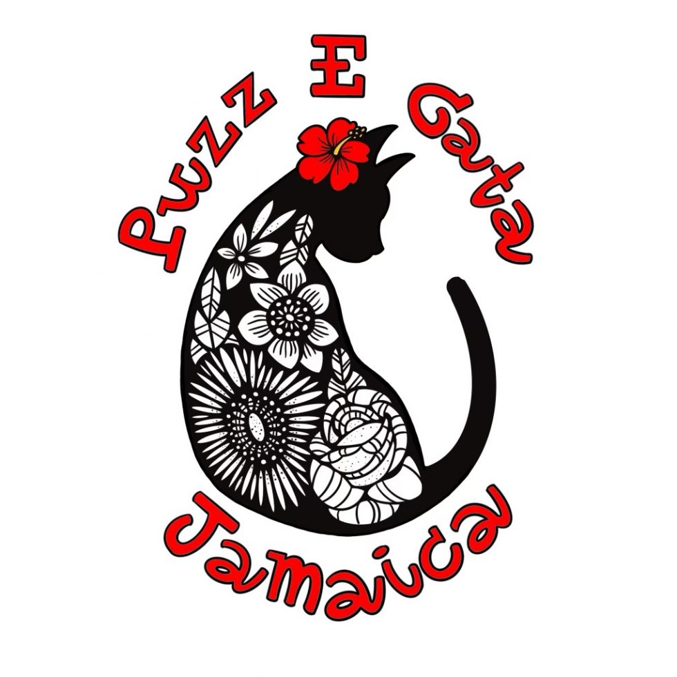 Alchemist Kitchen Incubator Program- AKIP - Alchemist CDC